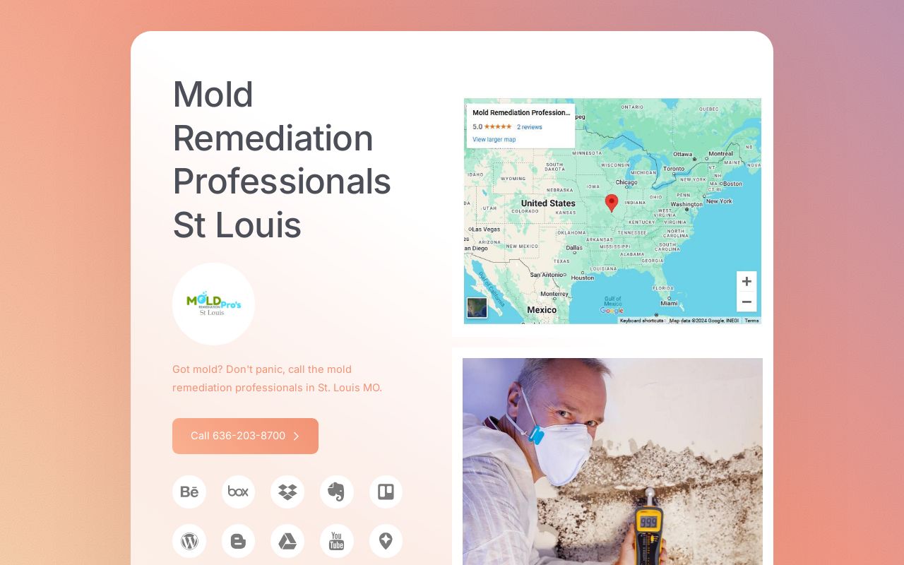 Mold Remediation Professionals St Louis